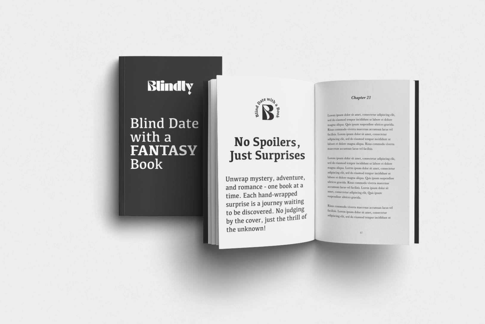 What Is a Blind Date with a Book? Everything You Need to Know – Blindly